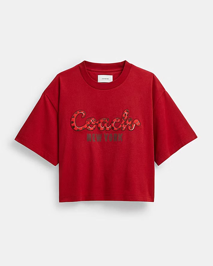 Coach Crop Shirt 025, 名牌, 手袋及銀包 - Carousell