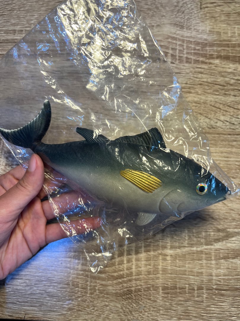 Squishy common fish, Toys & Collectibles, Mainan di Carousell