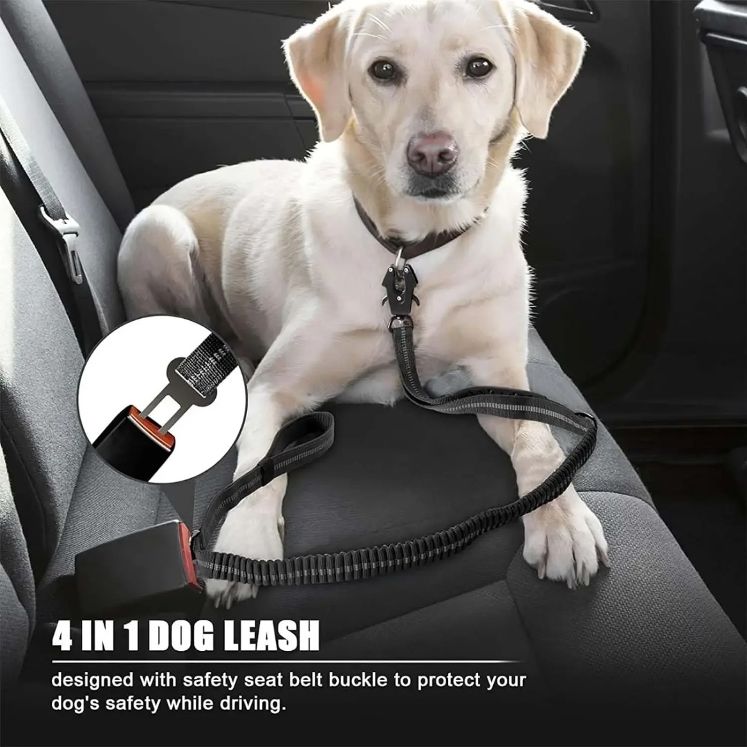 Reflective Shock-Absorbing Bungee Leash with Seatbelt for Large Dogs ...