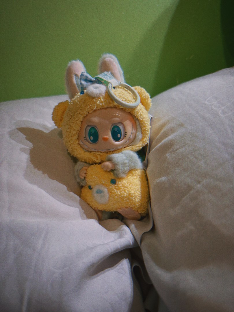 V2 labubu QUQU, accessories included, Hobbies & Toys, Toys & Games on ...