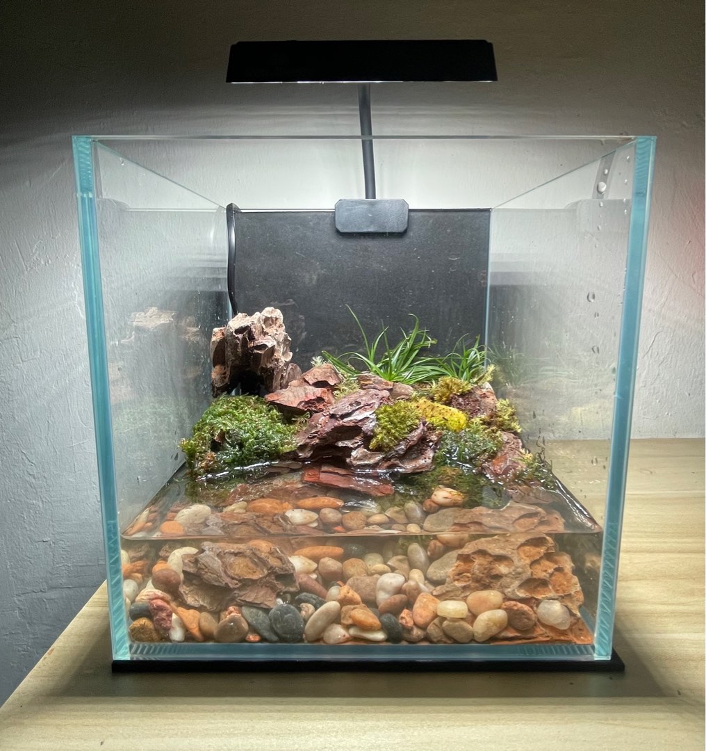 Nano Aquascape mini planted crab fish tank, Pet Supplies, Homes & Other ...