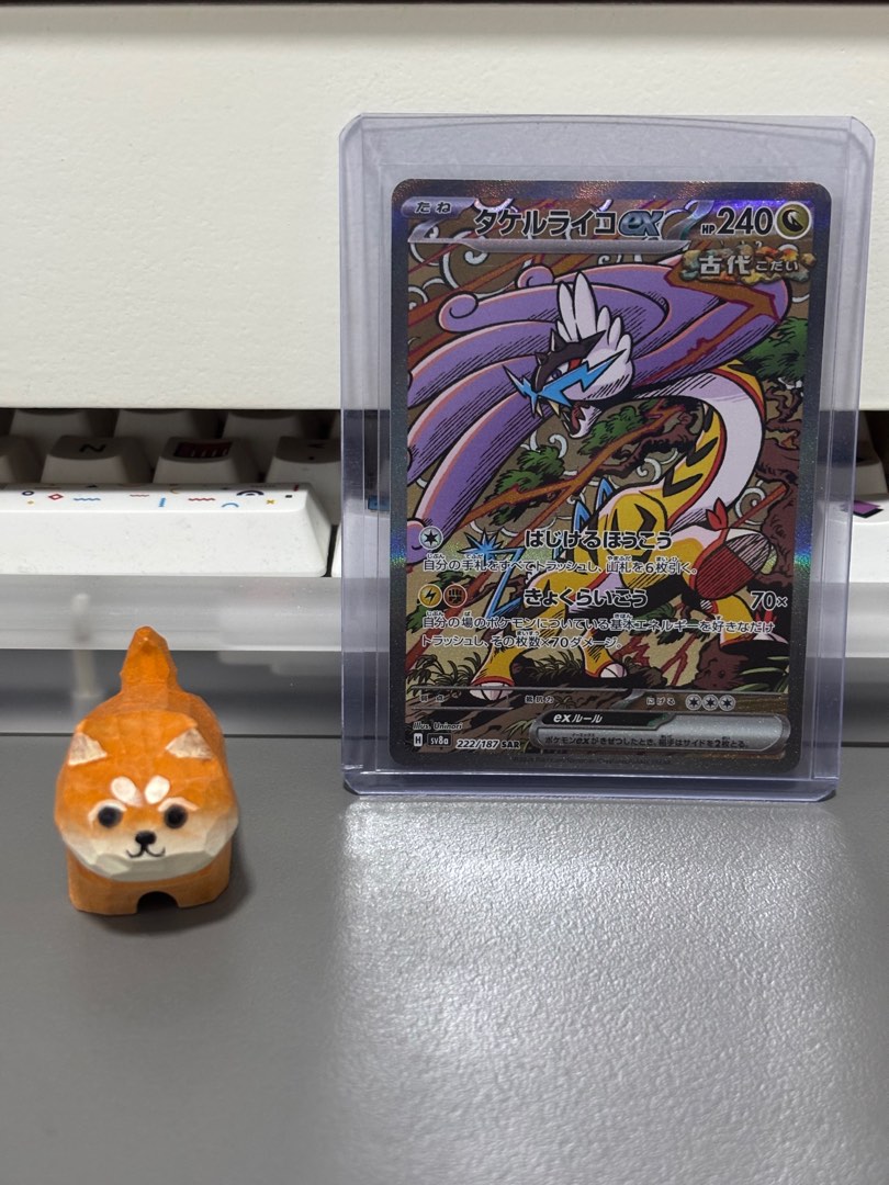 Raging Bolt ex SAR #222 Terastal Festival Japanese Pokemon, Hobbies ...