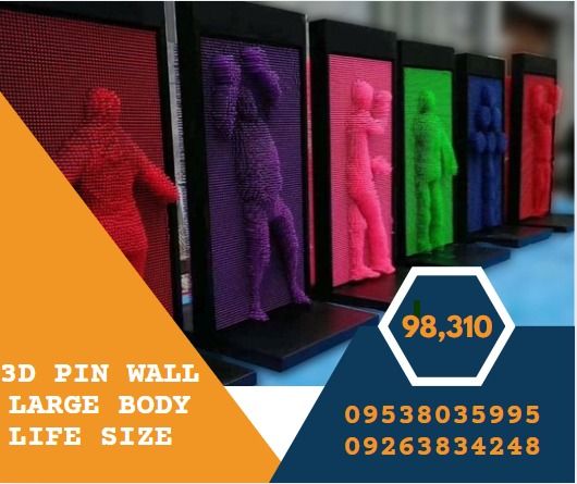 3D PIN WALL LARGE BODY LIFE SIZE, Everything Else, Others on Carousell