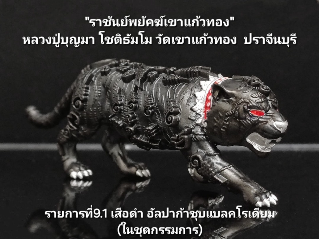 [$70] Black Tiger Roop Lor with Black Yant, LP Boonma, Wat Khao Kaew Thong, BE2568, Nur Dum ...