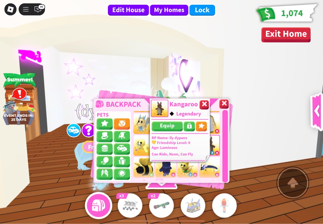 Adopt Me Kangaroo, Video Gaming, Gaming Accessories, In-Game Products ...