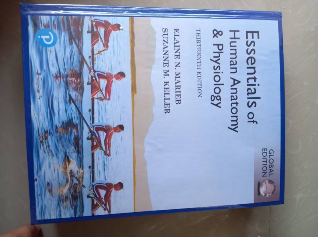 ESSENTIALS OF Human Anatomy and Physiology thirteenth edition | NURSING ...
