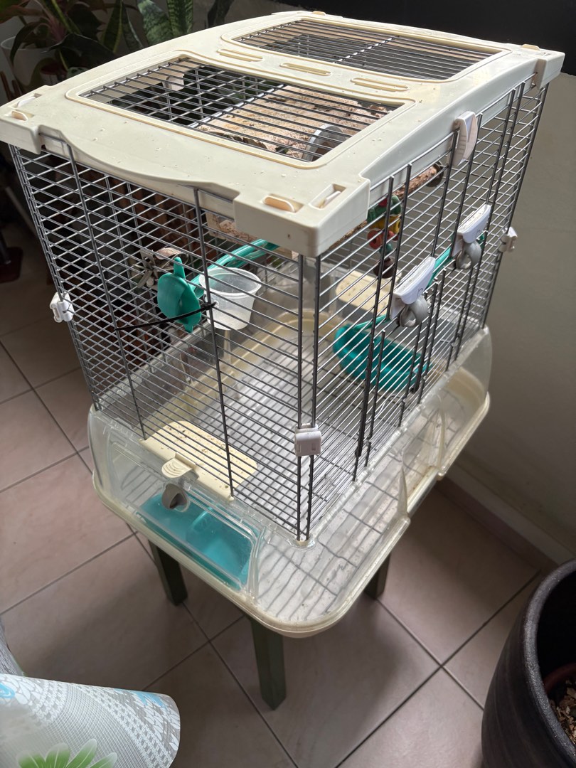 Vision Bird Cage with Stand, Pet Supplies, Homes & Other Pet ...
