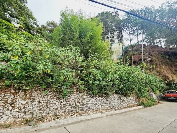 Commercial Corner Lot with Overlooking view in Baguio City, Property ...