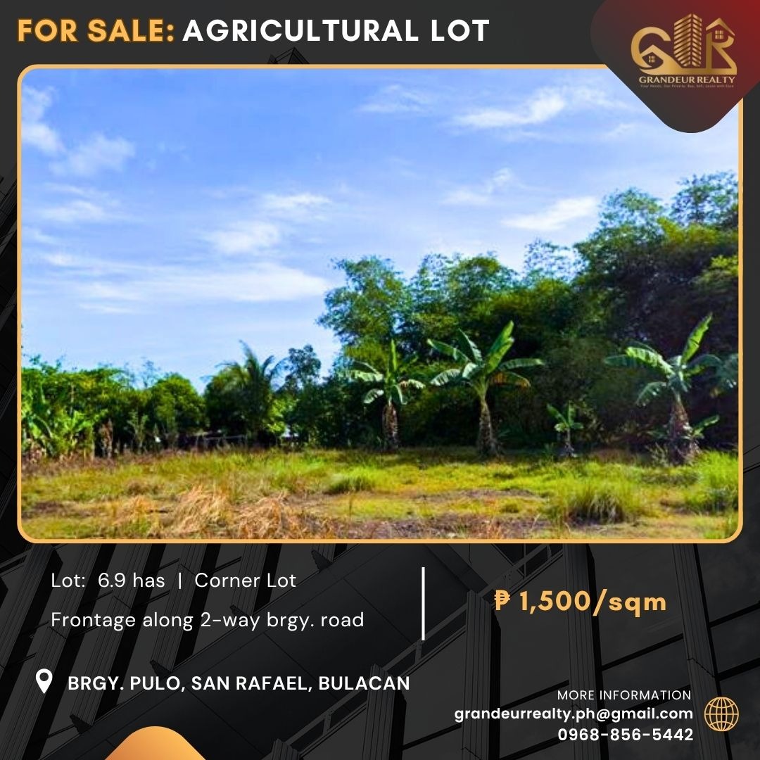 For Sale: Agricultural Lot located at Brgy. Pulo, San Rafael, Bulacan ...