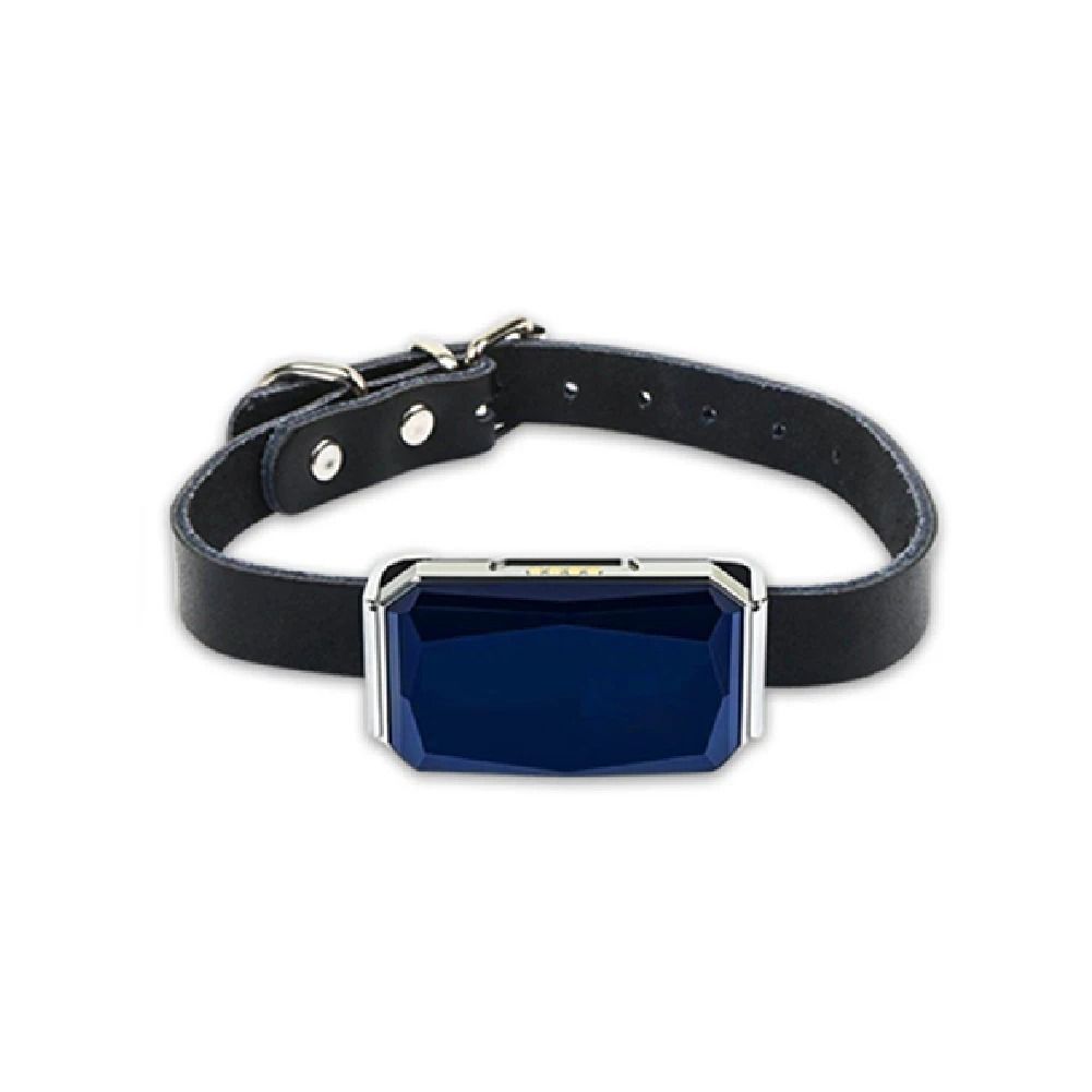 G12 GPS Tracking Locator Wearable Smart Pet Detection Tracker ...