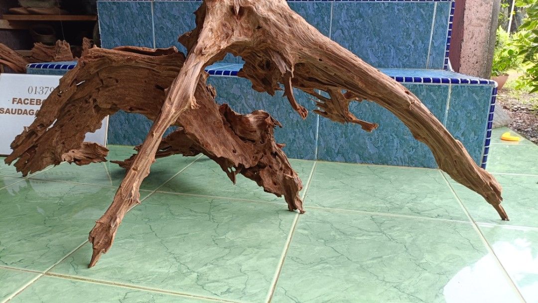 Malaysian Driftwood original kayu tempatan body premium, Pet Supplies ...