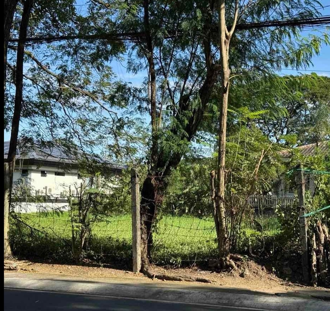 Two adjacent lots in Katipunan Avenue Ext, Loyola Grand Villas ...