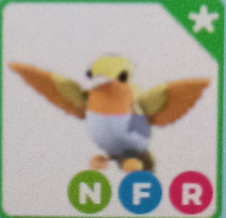 NFR Golden Hummingbird adopt me, 電子遊戲, 電子遊戲, 其他 - Carousell