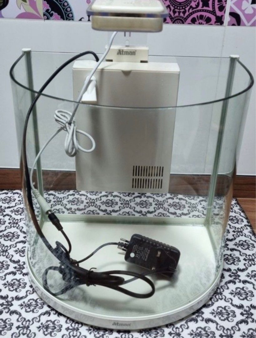 Curved Glass Fish Tank, Pet Supplies, Homes & Other Pet Accessories on ...