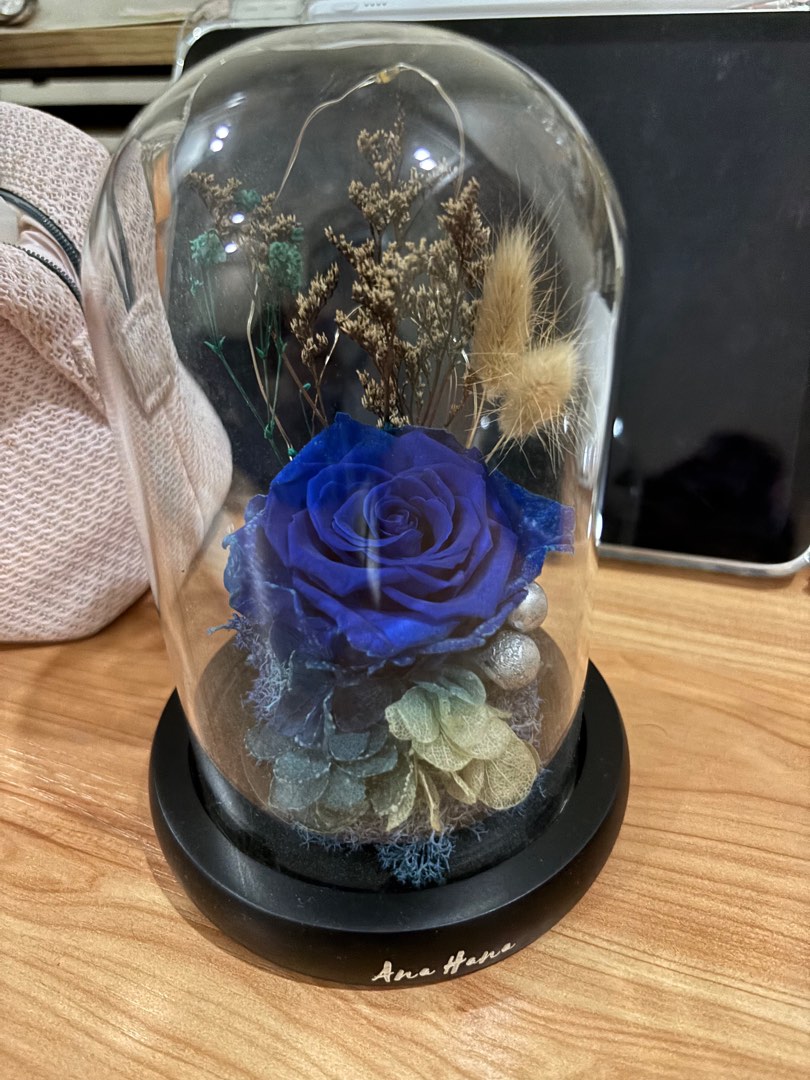 Preserved Blue Rose in Glass Dome with Lights, Furniture & Home Living ...