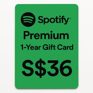 spotify year gift