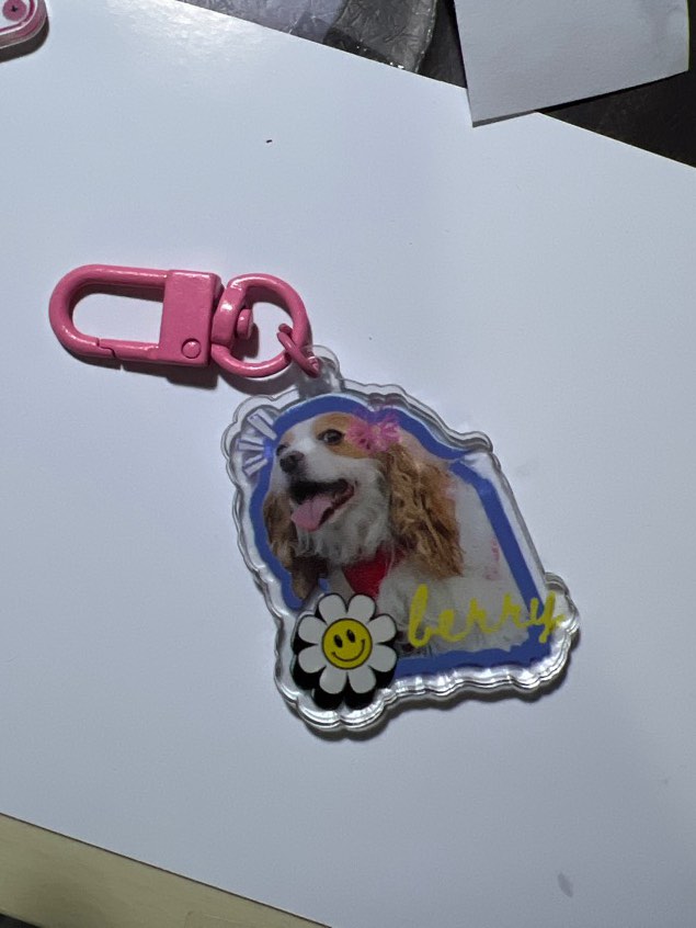 Bangchan Berry Dog Fanmade Keychain STRAY KIDS, Toys & Collectibles ...