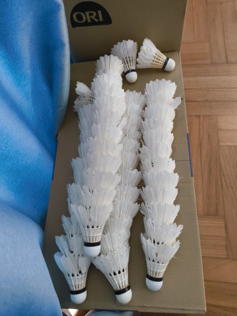 Used badminton shuttlecocks, Sports Equipment, Sports & Games, Racket ...