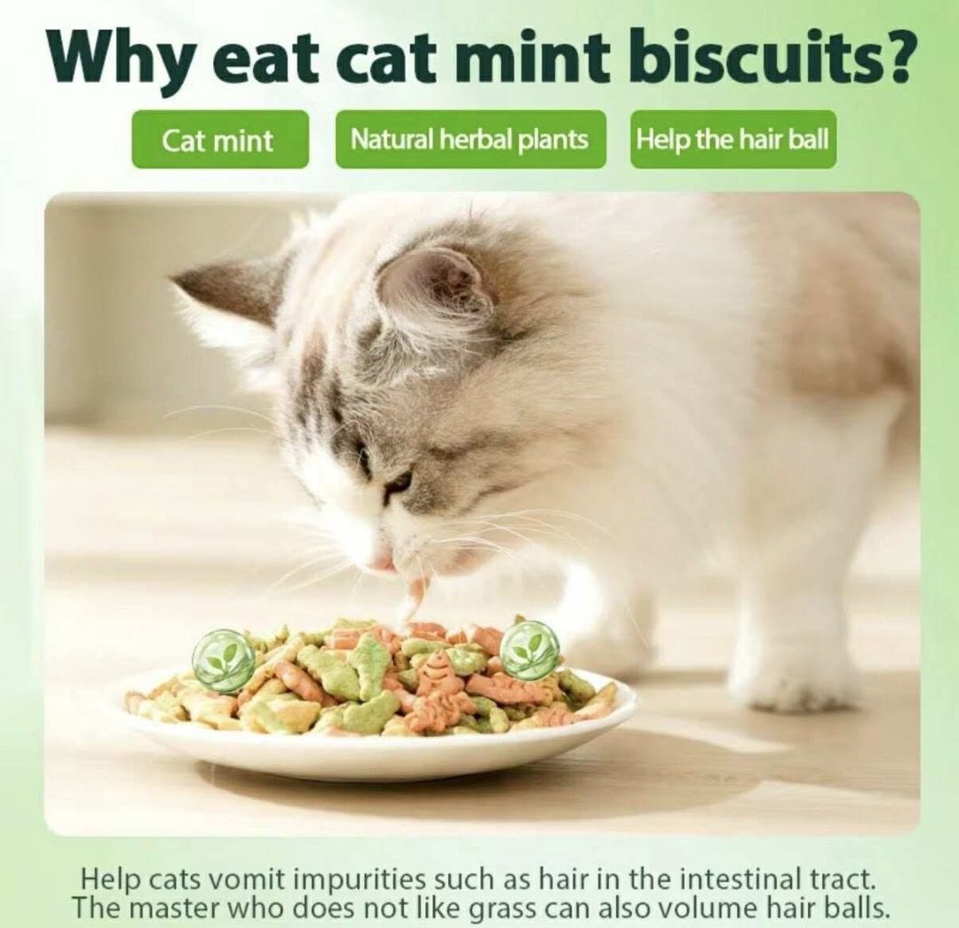 CATNIP BISCUIT Nutritious | Hairball Control | Digestive Support ...