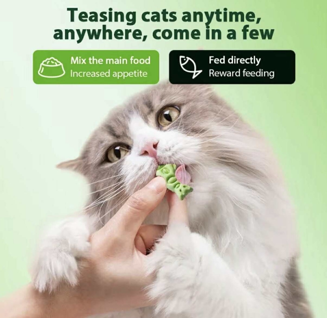 CATNIP BISCUIT Nutritious | Hairball Control | Digestive Support ...