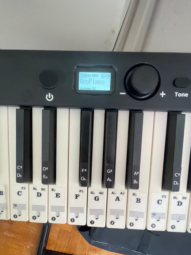 Acoustic Piano Keyboard with Stand and Accessories, Hobbies & Toys ...