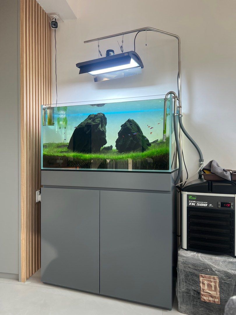 ADA sansui rock stone big aquarium scaping solar rgb tk500 teco chiller ...