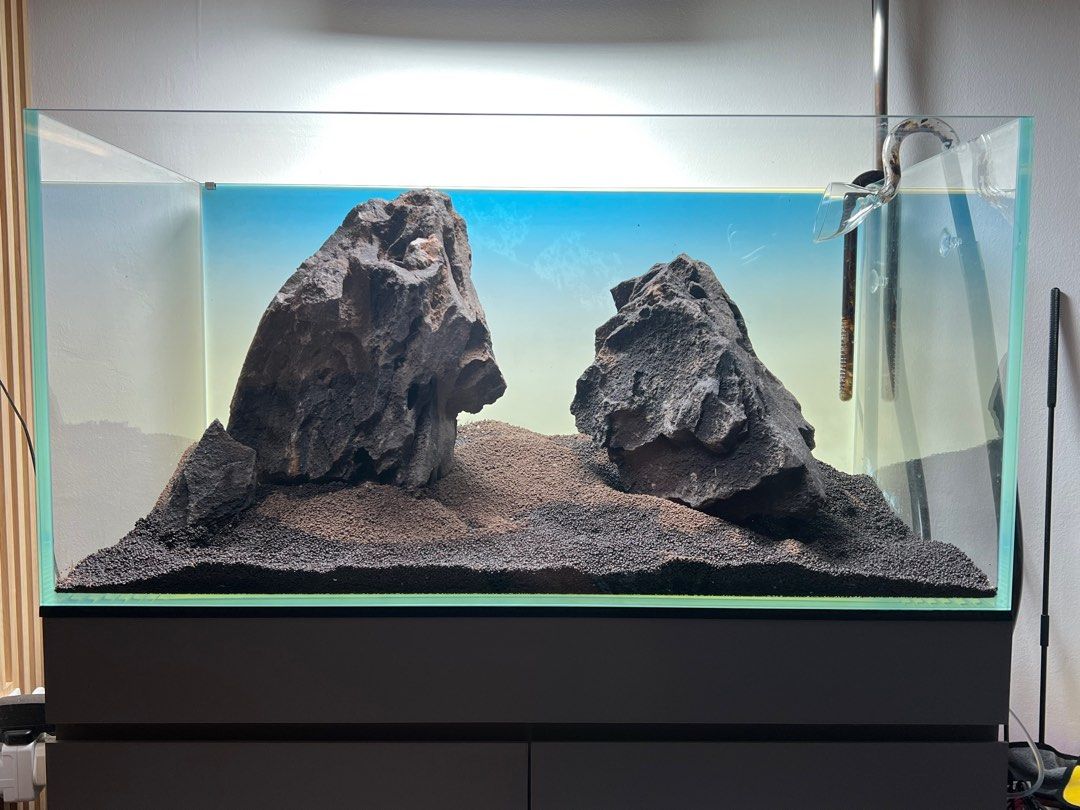 ADA sansui rock stone big aquarium scaping solar rgb tk500 teco chiller ...