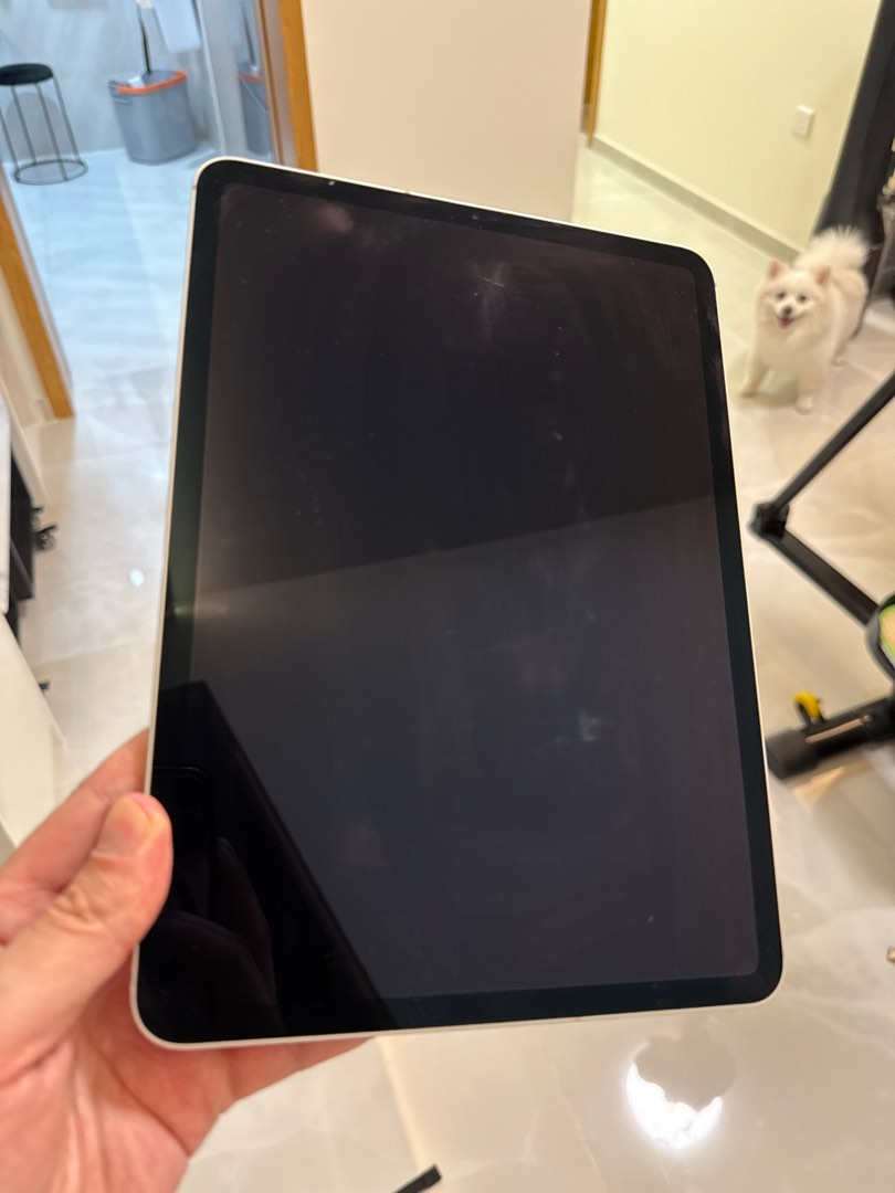 iPad Pro 2nd Gen LTE Grey 256GB, Mobile Phones & Gadgets, Tablets, iPad ...