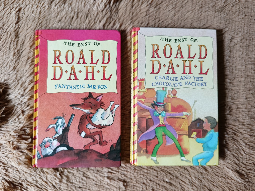 Bundle of 2: Roald Dahl's Mr Fanstastic/Charlie and the Chocolate ...