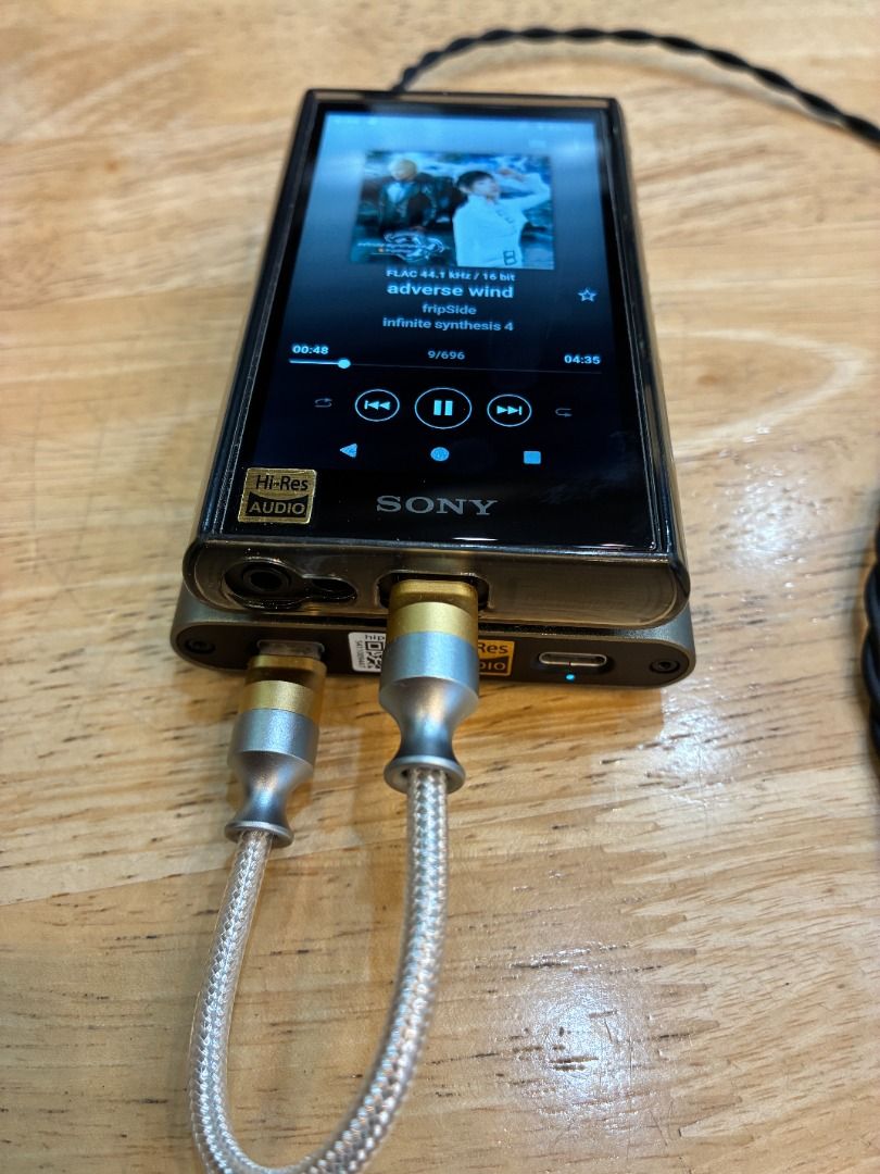 SONY NW-A306 32GB BLACK+IFI HIPDAC 3, Audio, Portable Music Players on ...