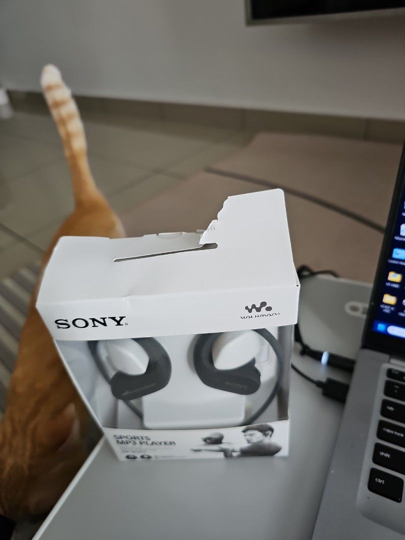 Sony walkman, Audio, Portable Music Players on Carousell