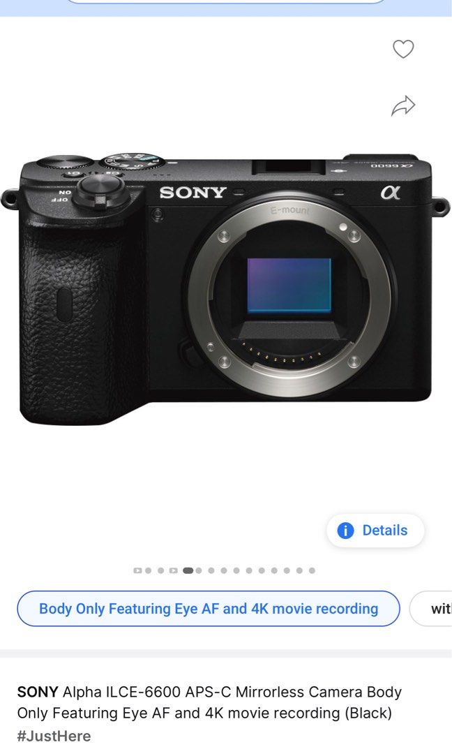 Sony A6600 Body Only, Photography, Cameras on Carousell