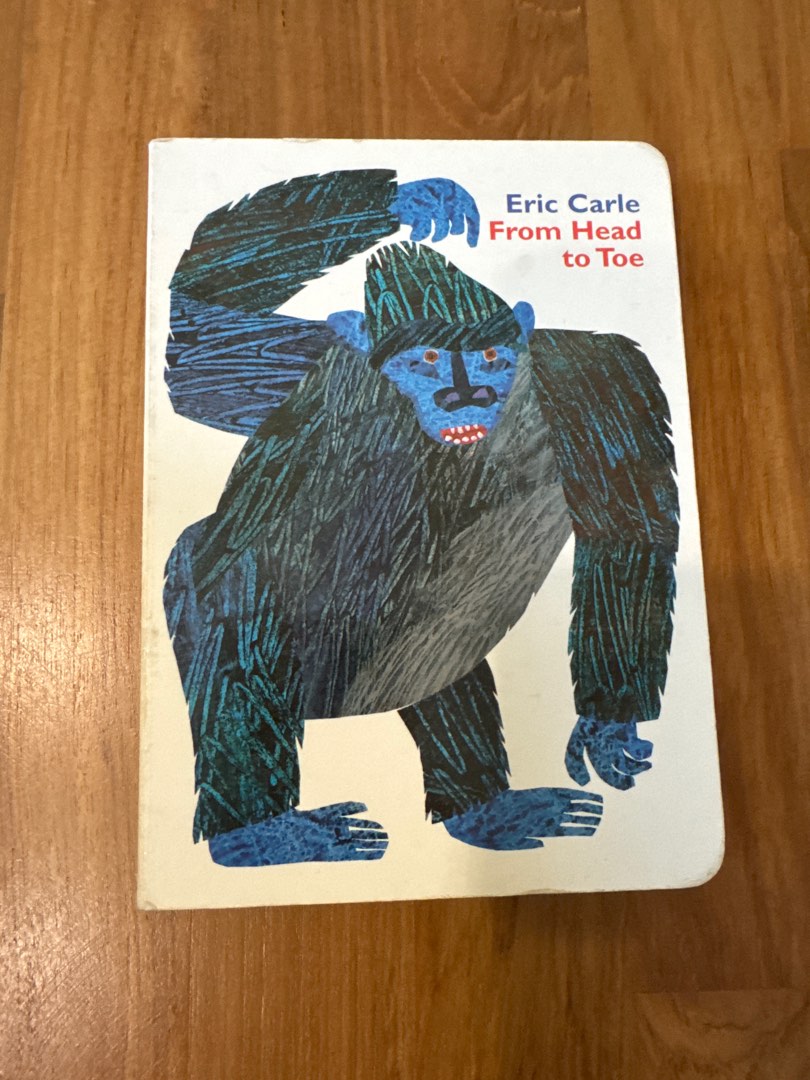 Eric Carle From Head to Toe Board Book, Hobbies & Toys, Books ...
