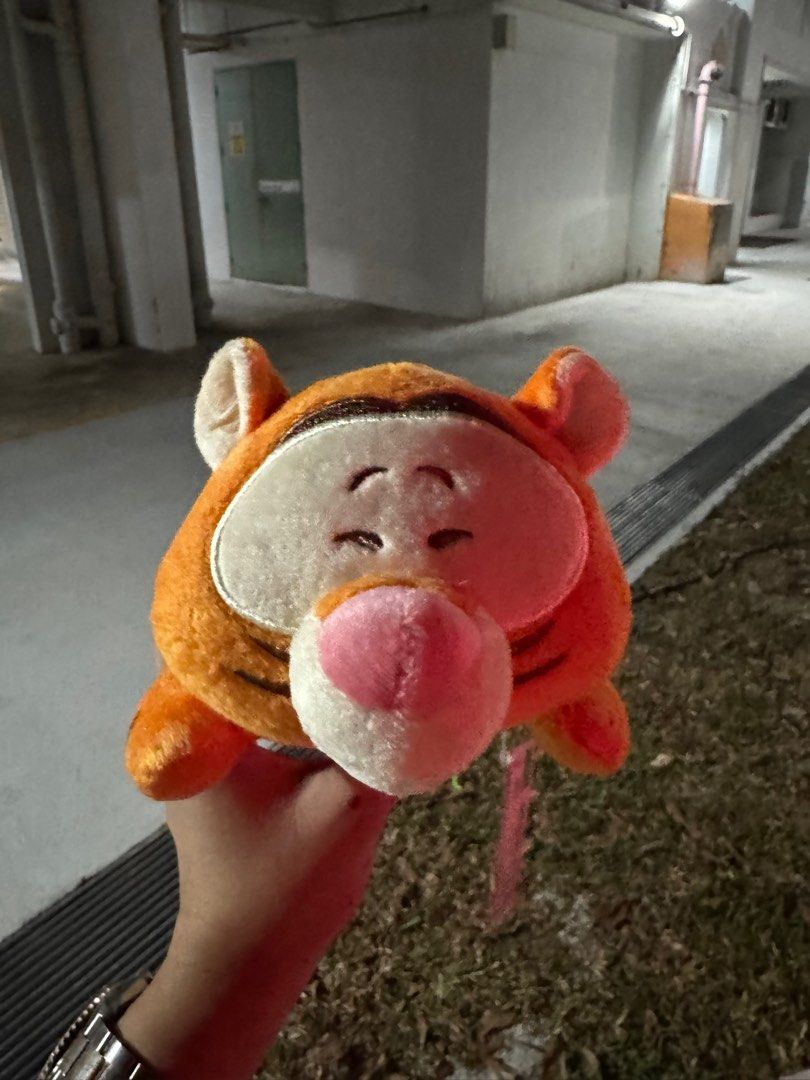 Disney Tigger Plush Toy, Hobbies & Toys, Toys & Games on Carousell