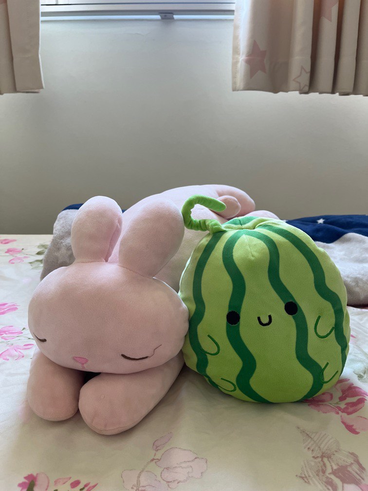 Miniso Cute Plushie Set: Bunny & Watermelon, Hobbies & Toys, Toys ...