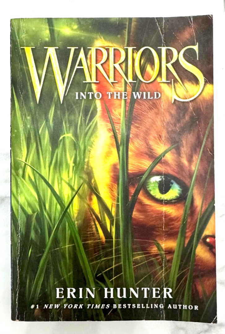 Warriors: Into the Wild by Erin Hunter, Hobbies & Toys, Books ...