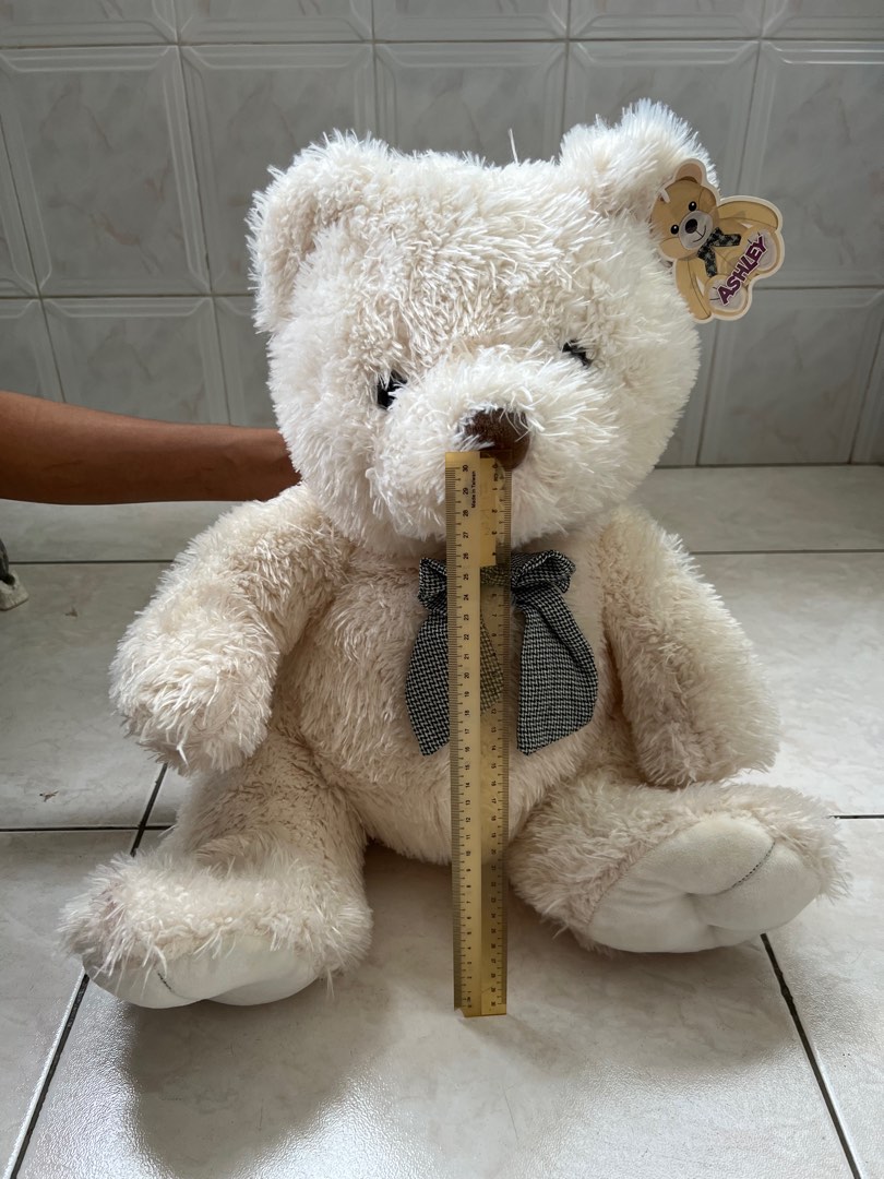 Ashley Teddy Bear - Cream Color, Hobbies & Toys, Toys & Games on Carousell