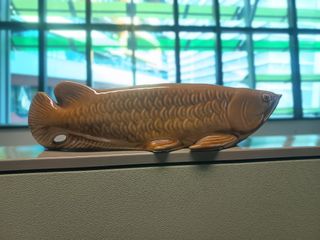 ikan kelisa
