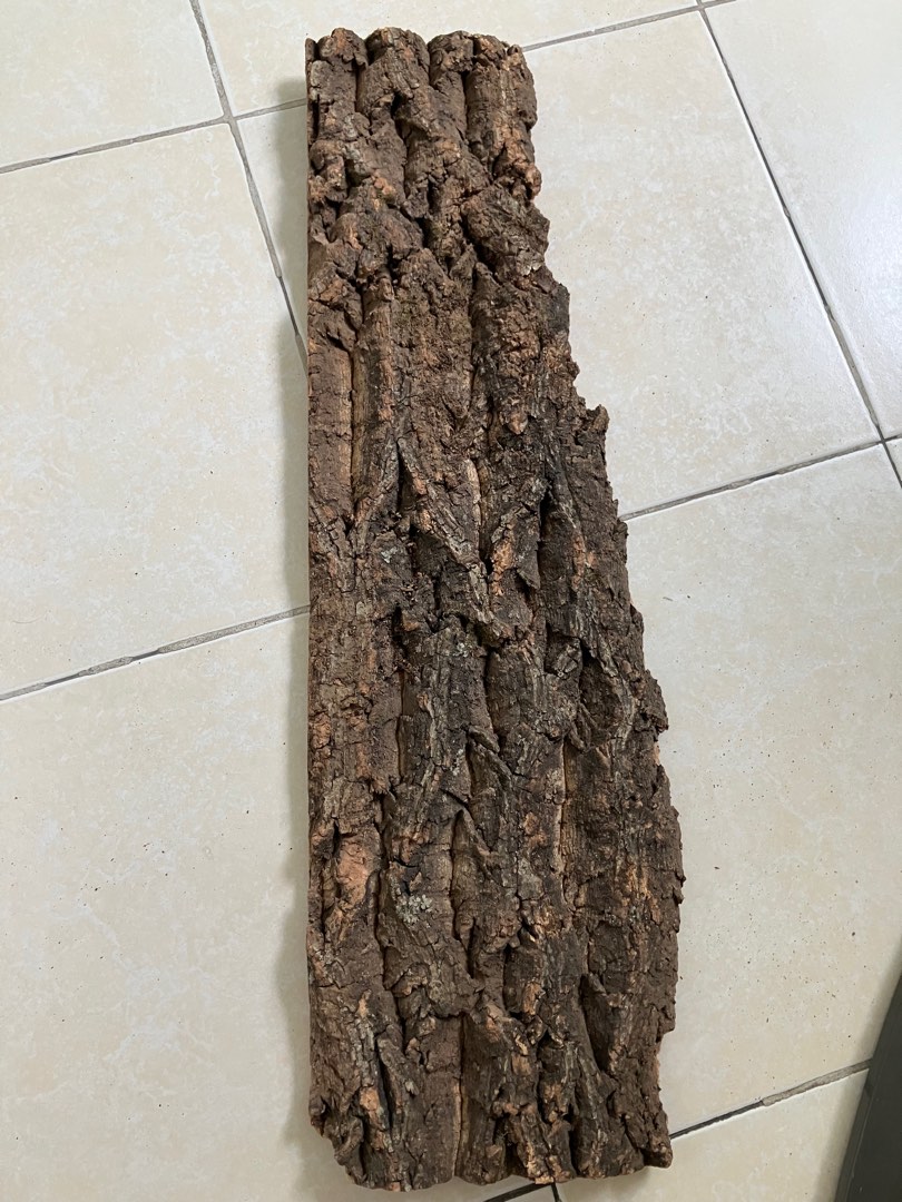 Natural Cork Bark Slab, Furniture & Home Living, Home Decor Accessories ...