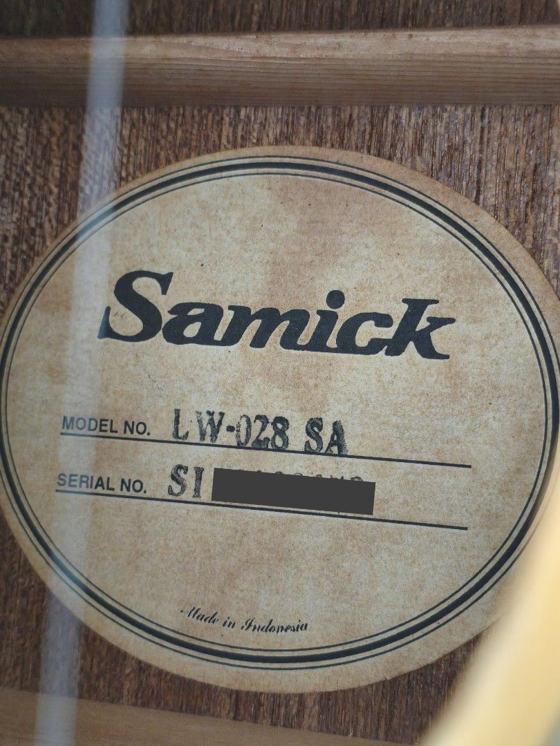 Samick Solid Spruce Top LW-028-SA Matt Acoustic Dreadnought Guitar with ...