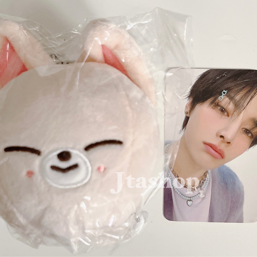Stray Kids SKZOO skz foxi.ny I.N photocard photo card plush keychain 梁精 ...