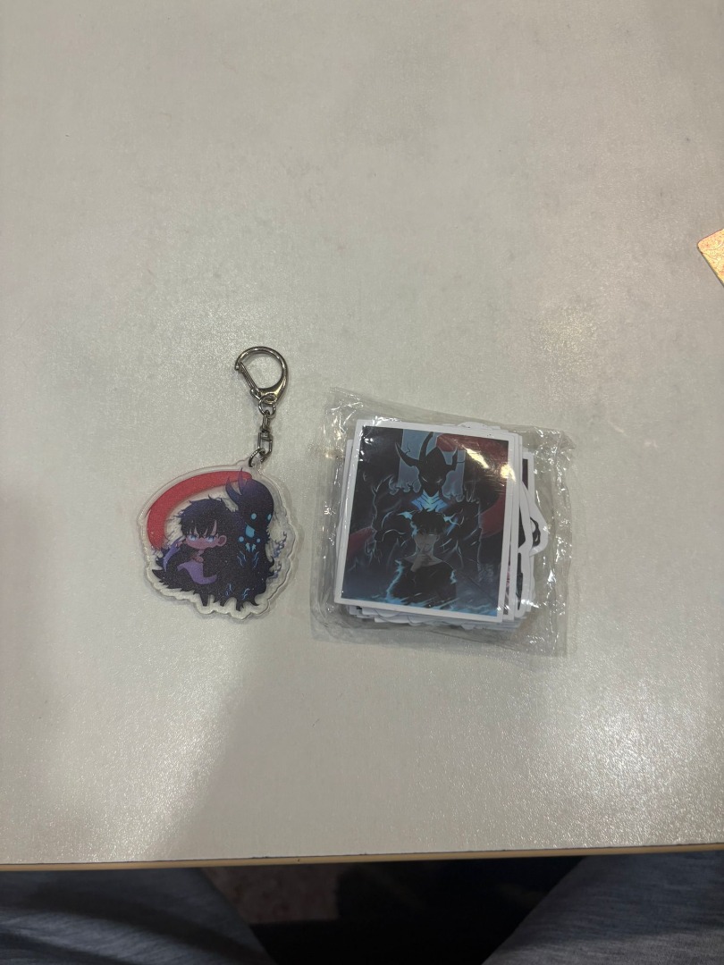 Solo Leveling Keychain and Stickers Set, Hobbies & Toys, Memorabilia ...