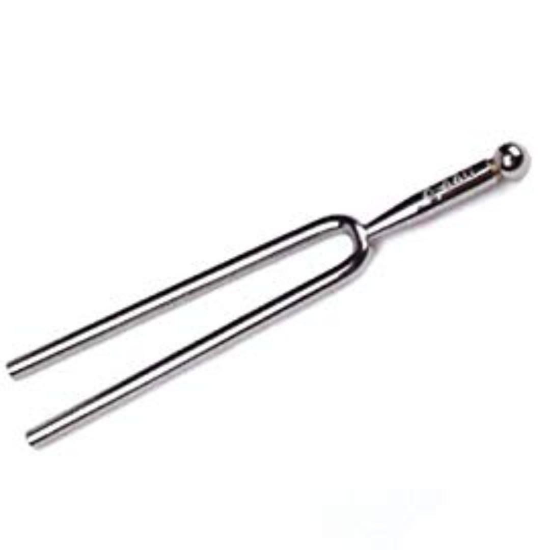 Johnson- Tuning Folk -A 440Hz (AXL-TF) A key, Hobbies & Toys, Musical ...