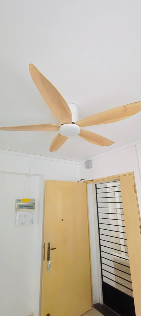 CO-FAN Rito-5 Ceiling Fan, Furniture & Home Living, Lighting & Fans ...