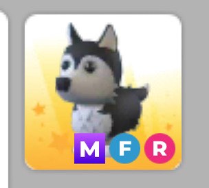 {CHEAPEST} Adopt Me Mega Fly Ride Wyvern Adopt Me MFR Wyvern Roblox ...