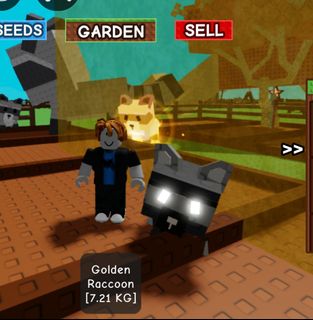 JULY 23 Raccoon 8.5$ AVAILABLE Grow a Garden , Video Gaming, Gaming ...