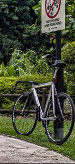 Sprinter Fixed Gear Bike Frame, Sports Equipment, Bicycles & Parts ...