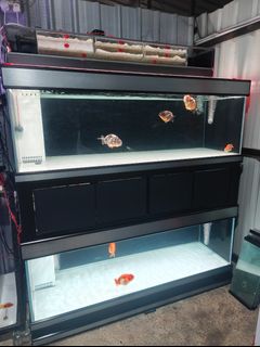 Two Tier 4ft Fish Tank Setup Monster Shop Aquarium Fish Tank and ...