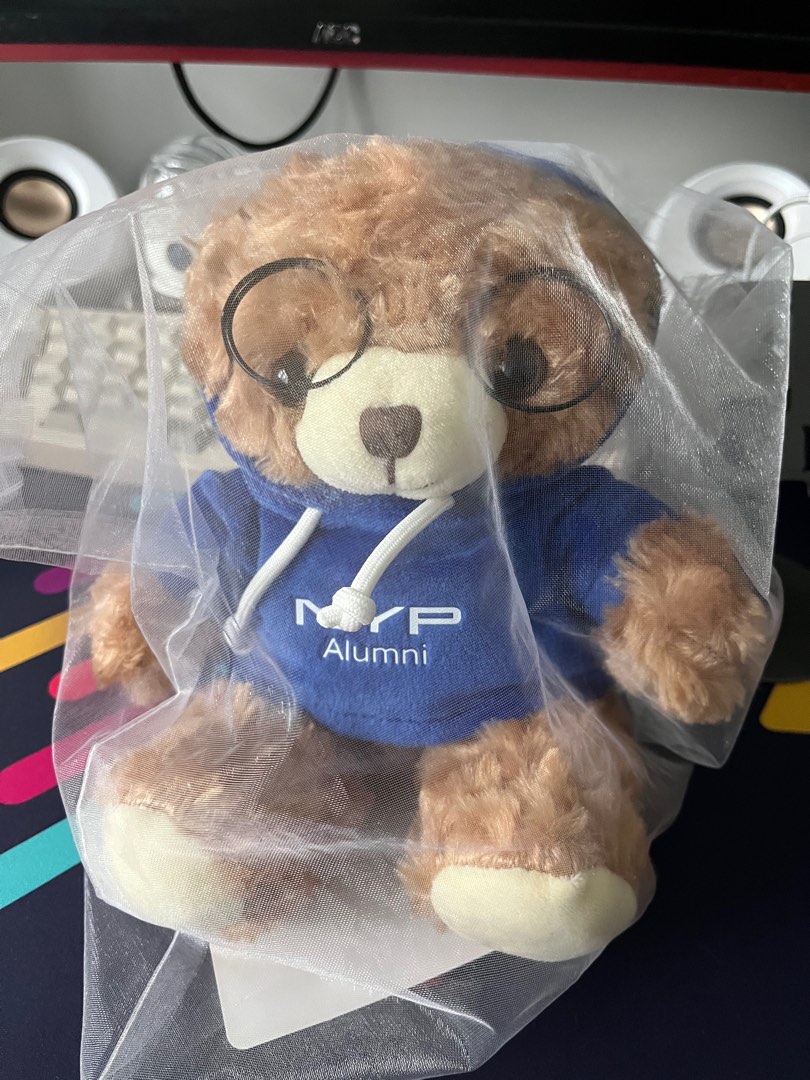 NYP Graduation 2024 Teddy Bear, Hobbies & Toys, Toys & Games on Carousell