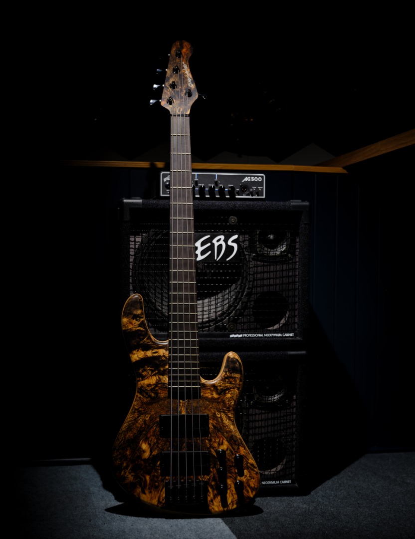 Overwater Hybrid Custom 5 Bass Guitar, Hobbies & Toys, Musical ...